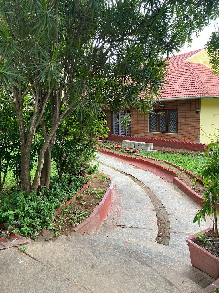 Calcium Rich Sesame Seed (THIL) – Daily Laddus