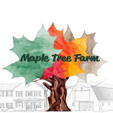 Calcium Rich Sesame Seed (THIL) – Daily Laddus